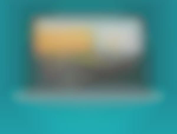 Internet Anonymity Charts : stay anonymous online