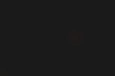 Ferocious Feline Photography : Big Cats