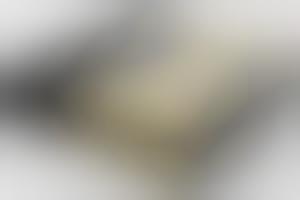 Gold-Plated Consoles : gold-plated console