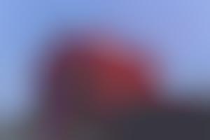 Solid Red Multimedia Installation: The Scarlet House