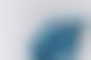 Superimposed Collage Catalogs : superimposed collage