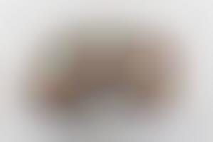 Fluid Silhouette Tables : quark table