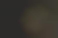 Poignant Heartbreak Portraits : another november