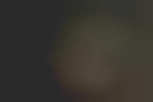 Poignant Heartbreak Portraits : another november