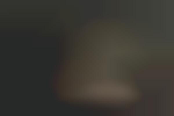 Poignant Heartbreak Portraits : another november