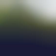 Magical Miniature Photography : zev hoover