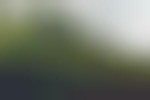 Magical Miniature Photography : zev hoover