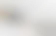 Streamlined Prosthetic Flippers : Elle prosthetic