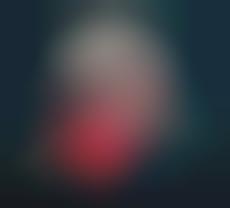 Submerged Puppy Captures : Seth Casteel