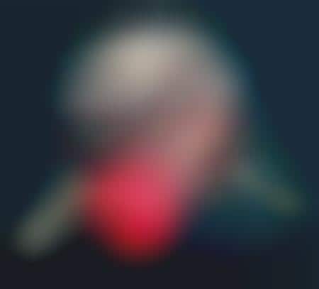 Submerged Puppy Captures : Seth Casteel