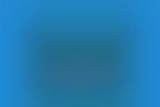 Rude Beer Branding : Stout Sarel