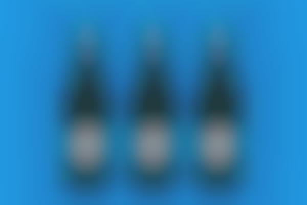 Rude Beer Branding : Stout Sarel