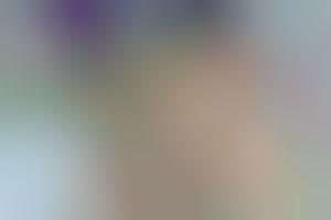 Whimsical Anatomical Collages (UPDATE) : Travis Bedel