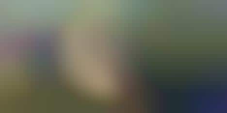 Helpful Bee Benches : bench sculpture