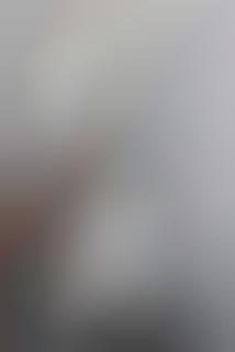 Conjoined Cubic Residences : side by side houses