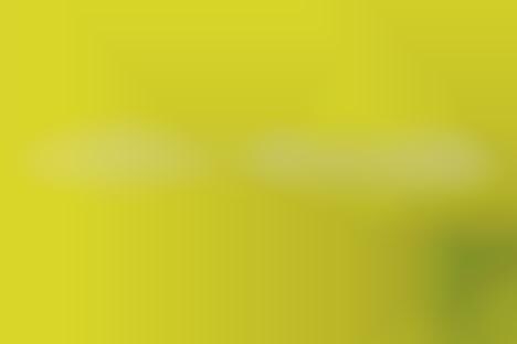 Purist Juice Ads : "just juice"