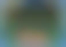 Culinary Team Building Competitions : Food Truck Challenge