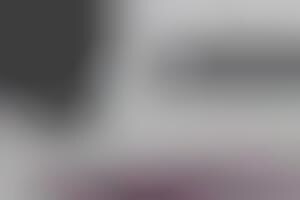 Crash-Proof Phone Cases : Rhino Shield Crash Guard