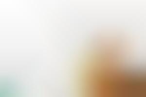 Naturally Sweetened Smoothies : alchemy juice bar