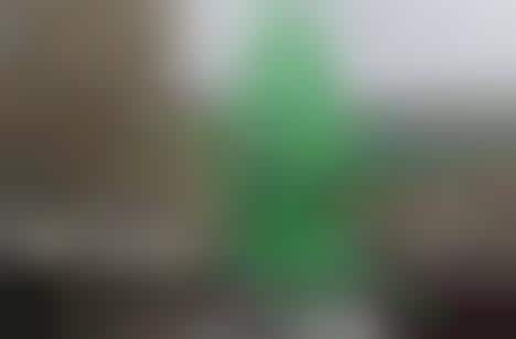 Naughty Christmas Trees : paul mccarthy