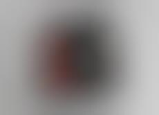 Premium Ham Packaging : "meat packaging"