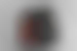 Premium Ham Packaging : "meat packaging"