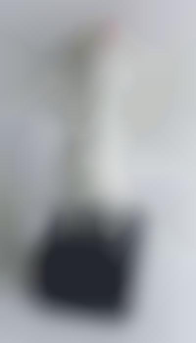 Disturbing Porcelain Figurines (UPDATE) : disturbing porcelain figurines