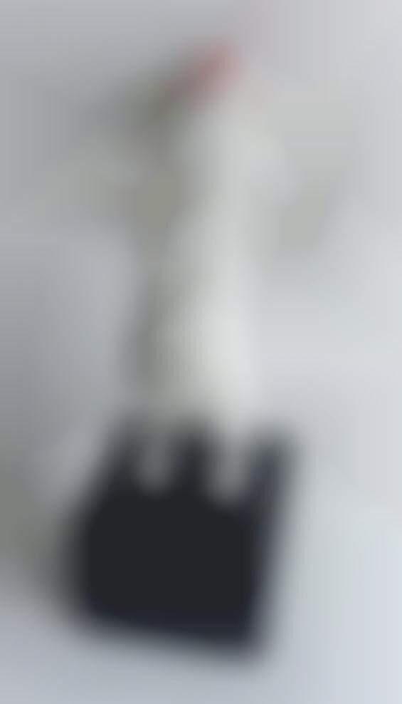 Disturbing Porcelain Figurines (UPDATE) : disturbing porcelain figurines