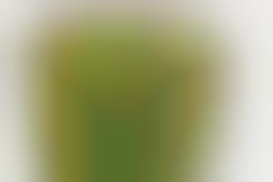 Spicy Wasabi Toothpastes : flavored toothpastes