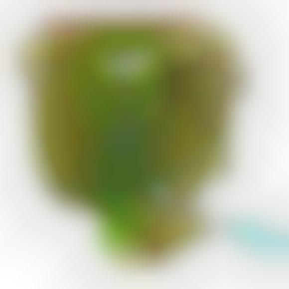 Spicy Wasabi Toothpastes : flavored toothpastes