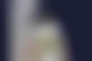 Interactive Retail Maps : "interactive shopping experience"