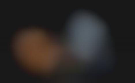 Luxurious Zodiac Timepieces : luxurious watches