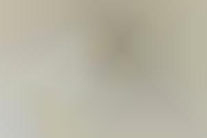 Eco-Friendly Watchtowers : watchtower