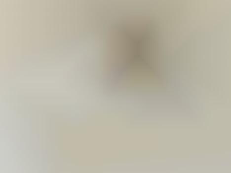 Eco-Friendly Watchtowers : watchtower