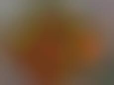 Goldfish Tea Bags : fish tea bag