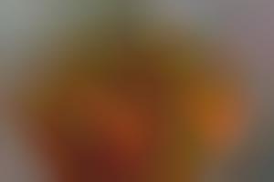 Goldfish Tea Bags : fish tea bag