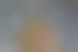 Adorable Animal Hybrids : Sarah DeRemer art