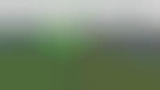 Feces-Powered Transportation : Bio-Bus