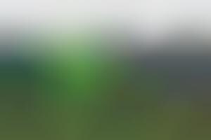 Feces-Powered Transportation : Bio-Bus