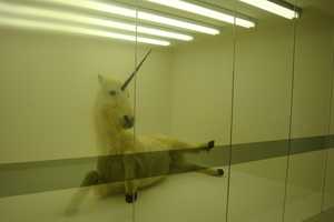 Caged Unicorn Depictions: Børre Sæthre Creates the Illusion of a ...