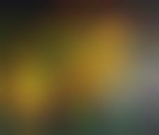 LEGO Strip Club Sets : Citizen Brick