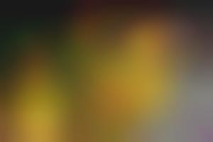 LEGO Strip Club Sets : Citizen Brick