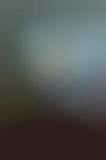 Poetic Floral Jewelry : Ruby Robin