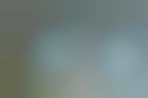 Poetic Floral Jewelry : Ruby Robin