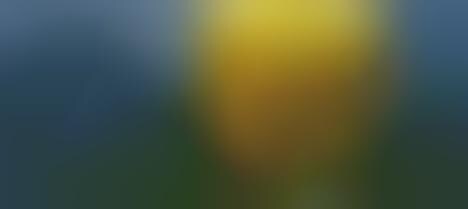 Floating Energy Generators : WaveNet