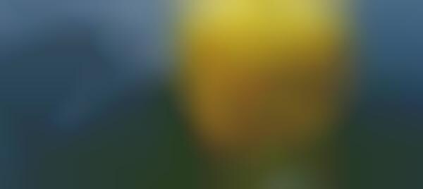 Floating Energy Generators : WaveNet