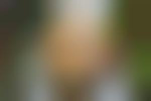 Bug-Infused Holiday Pies : "eating a bug"