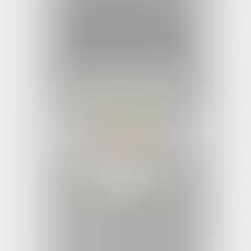 Hemp Tortilla Chips : hemp tortilla chips