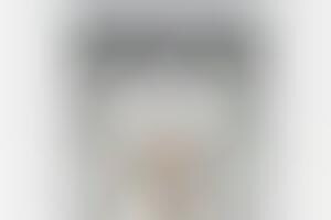 Hemp Tortilla Chips : hemp tortilla chips