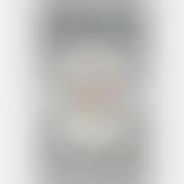 Hemp Tortilla Chips : hemp tortilla chips